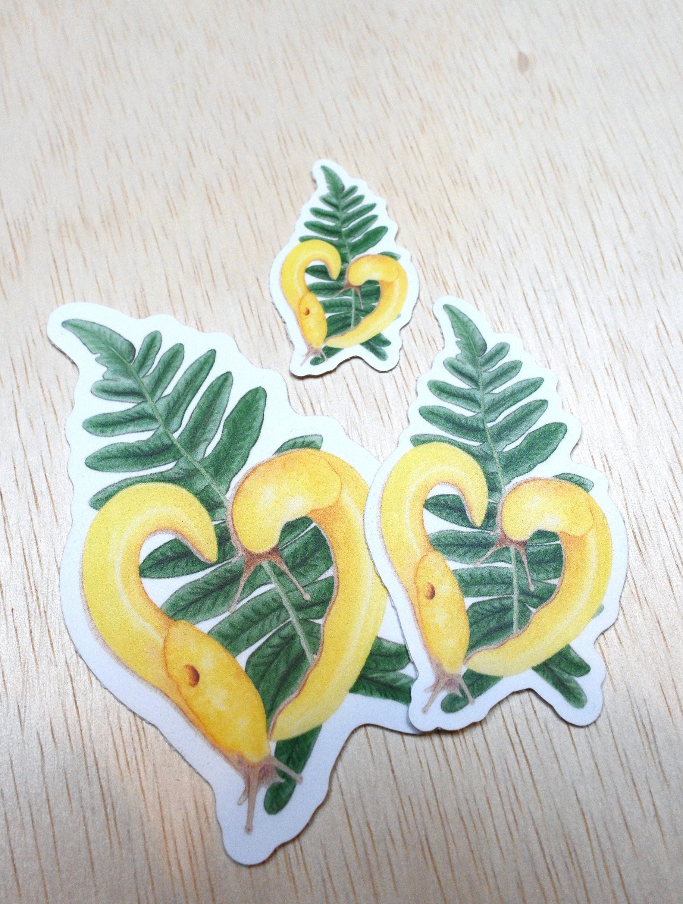 Banana Slug Sticker – The Paper Fern Studio